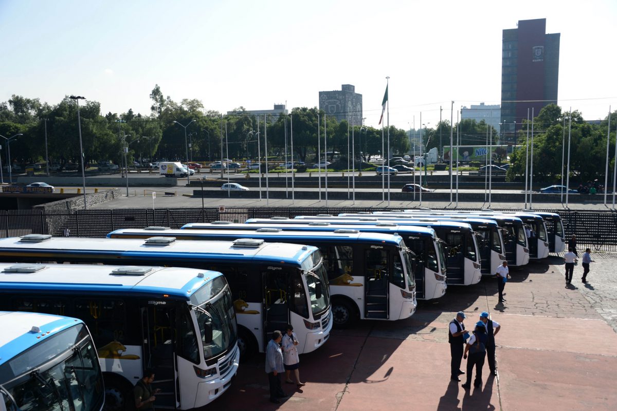 Pumabús rueda con Volkswagen – Indicador Automotriz